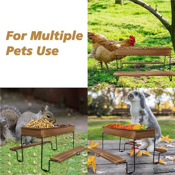 Bird | Chicken Feeder Table Squirrel Feeder Bird Feeder Wood Chicken ...